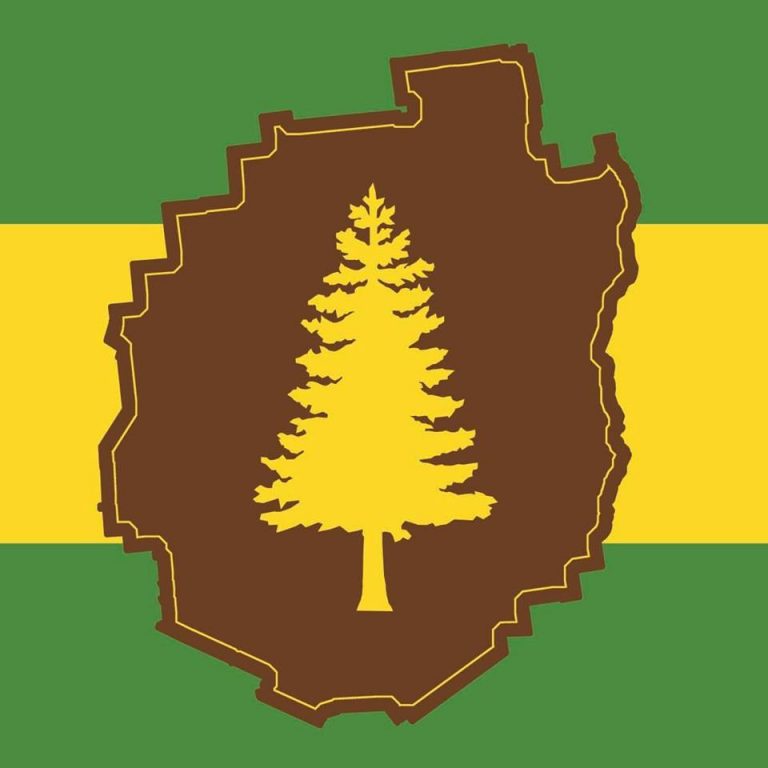 The Adirondack Flag